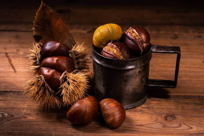 WHY IS CHESTNUT A BELOVED AUTUMN SYMBOL IN PORTUGAL?